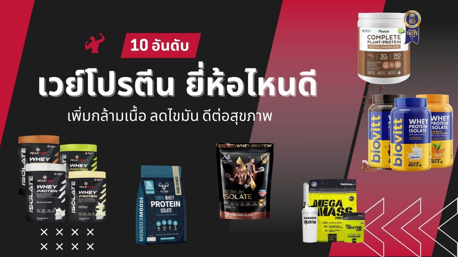 10 อันดับ เวย์โปรตีน ยี่ห้อไหนดี เพิ่มกล้ามเนื้อ ลดไขมัน ดีต่อสุขภาพ - KaninReview